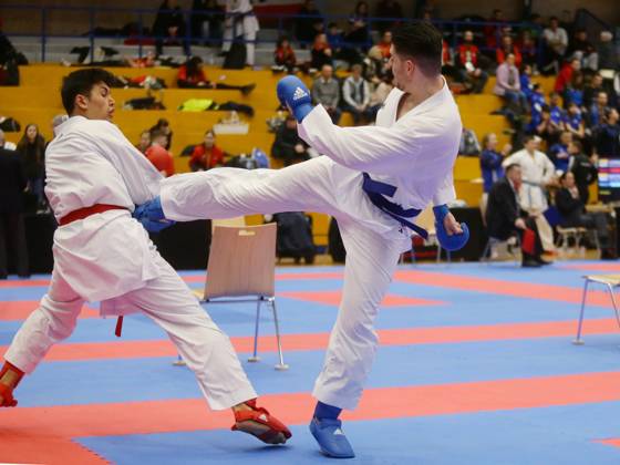 Ludwigsburg , German Championship Karate , Feature Wiper Impression Icon