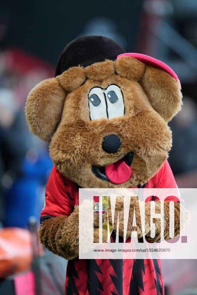 Mandatory Credit: Photo by Dave Shopland Shutterstock (13781106cn ...