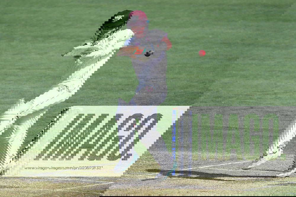 CRICKET SHIELD QLD SA, Jimmy Pierson of the Bulls plays a shot during ...