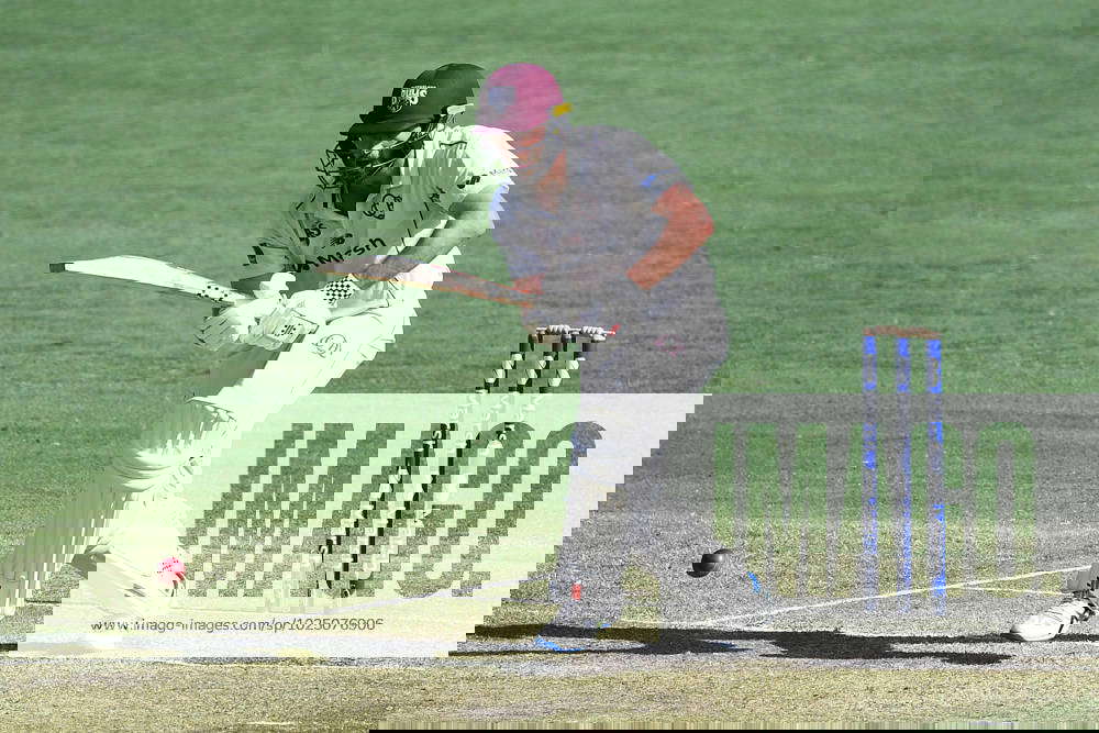 CRICKET SHIELD QLD SA, Michael Neser of the Bulls plays a shot during ...