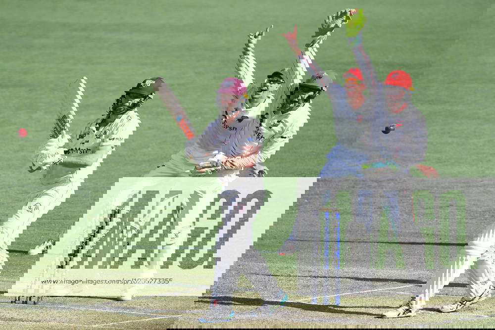 CRICKET SHIELD QLD SA, South Australian players appeals as Michael ...