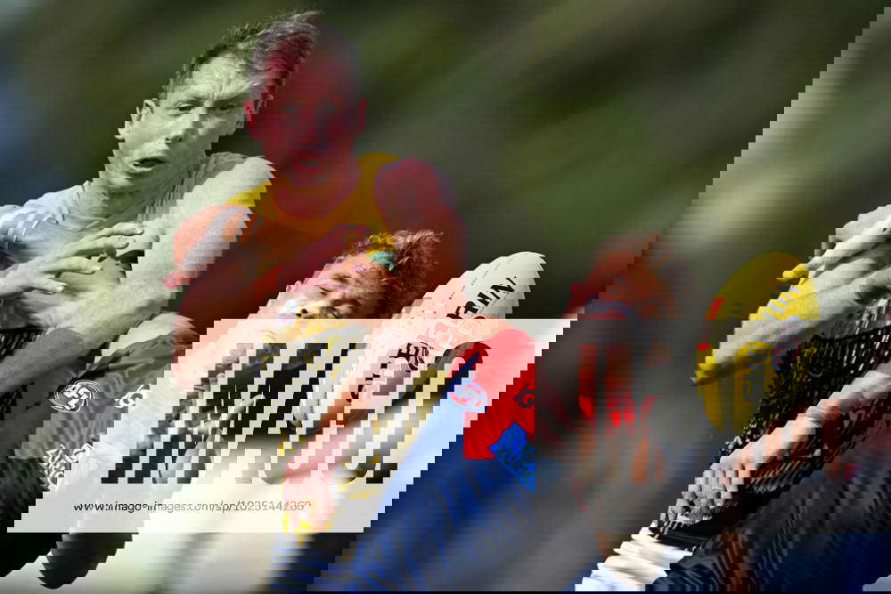 AFL DEMONS TIGERS, Dylan Grimes of Richmond and Kade Chandler of the ...