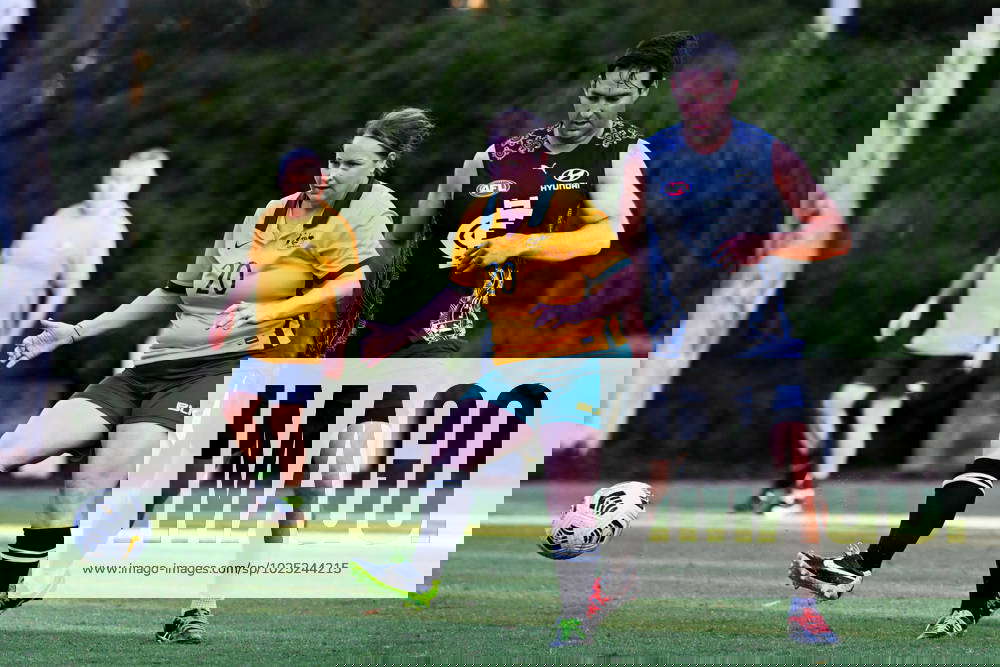 GRAHAM ARNOLD PARLIAMENT SOCCER TEAM, Labor Senator Nita Green and ...