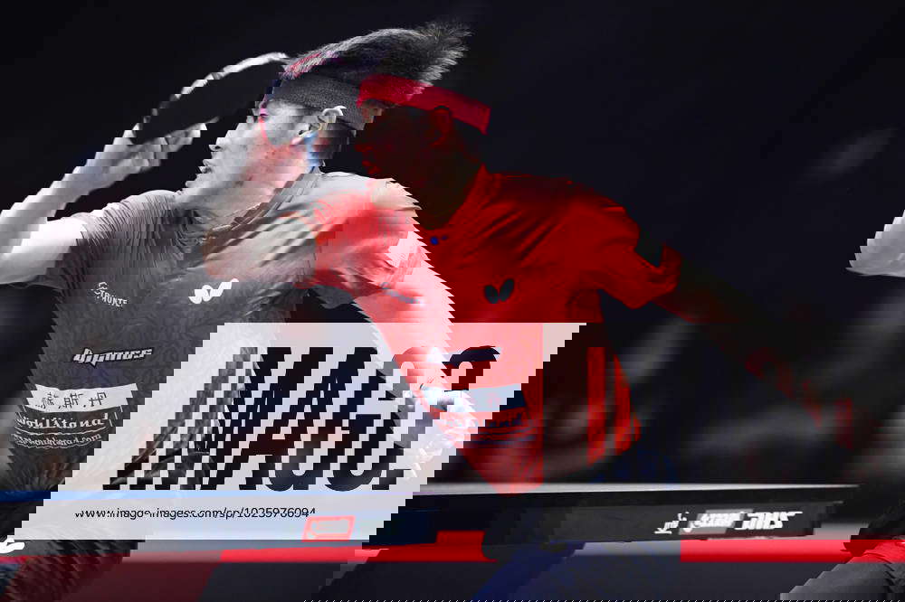 Dang Qiu (GER), MARCH 17, 2023 - Table tennis, Tischtennis : WTT ...