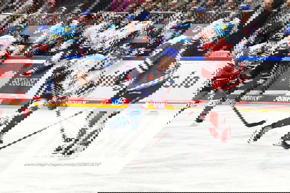 DEL Kölner Haie Adler Mannheim, 17 03 2023 Simon Thiel DEL Kölner Haie ...