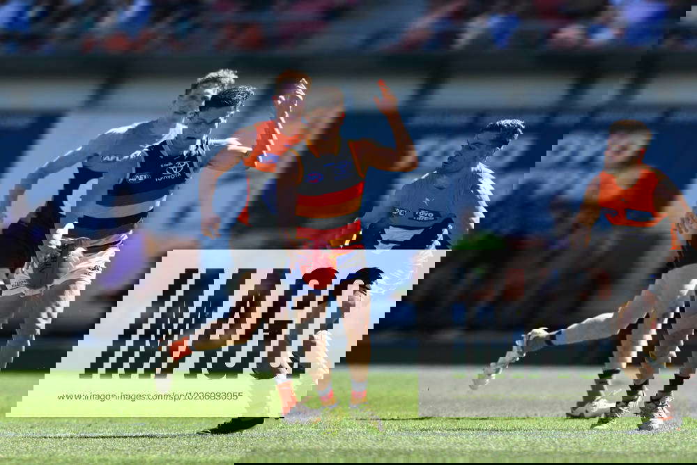 AFL GIANTS CROWS, Jake Soligo of the Adelaide Crows in action during ...