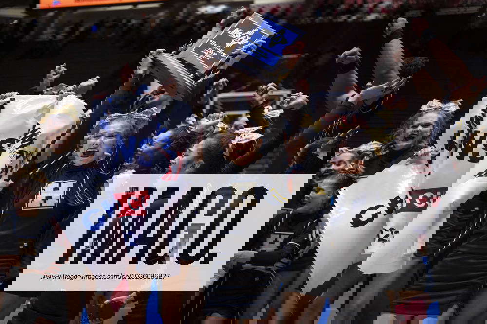 IMAGO - Images & Videos for Media, Sports & Brand.