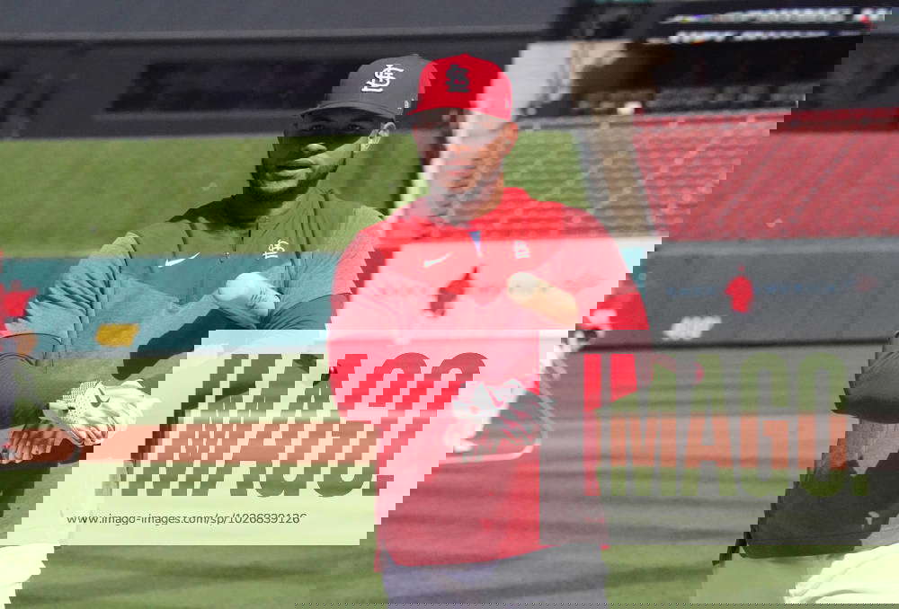 St. Louis Cardinals catcher Willson Contreras prepares to go into the batting cage during a workout