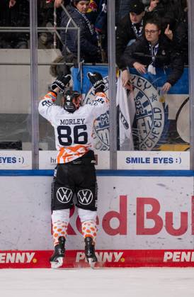 Tyler Morley Grizzlys Wolfsburg, 86 cheers his goal to 0 1 EHC Red Bull ...
