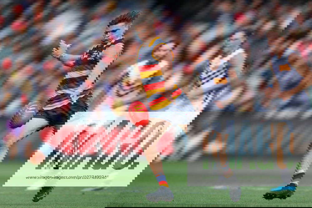 AFL CROWS DOCKERS, Ben Keays of the Crows during the AFL Round 4 match ...