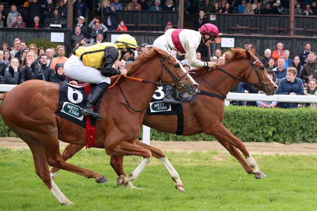 06 05 2023, Dresden, Saxony, GER Clementine with Michal Abik wins ...