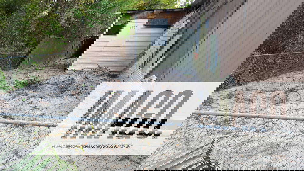 News: News: Joni Lynn Gunter Murder Feb. 12, 2017; Jacksonville, FL ...