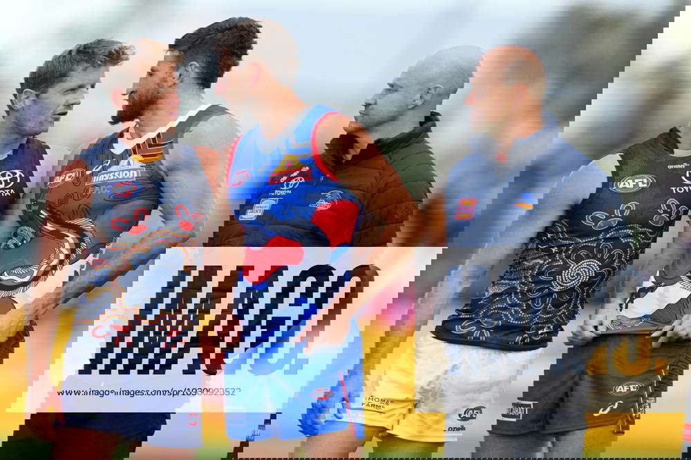 AFL BULLDOGS CROWS, Rory Sloane of the Crows and Marcus Bontempelli of ...