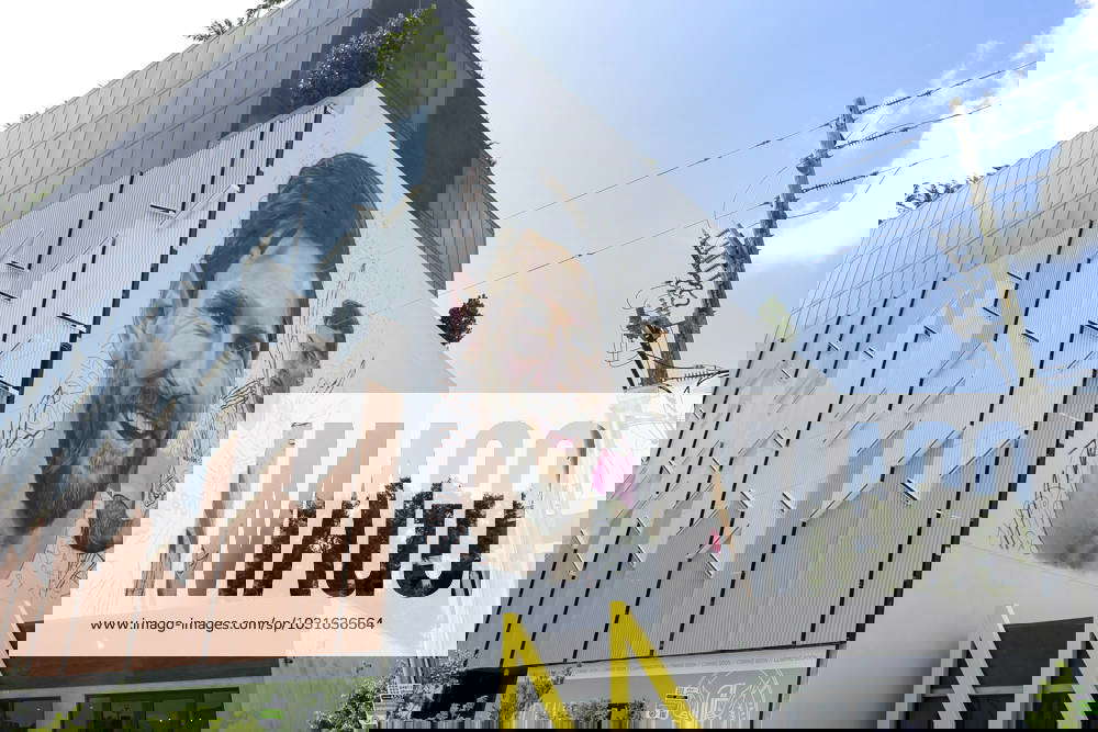 MLS, Fussball Herren, USA Inter Miami CF-Lionel Messi Mural Jul 11 ...