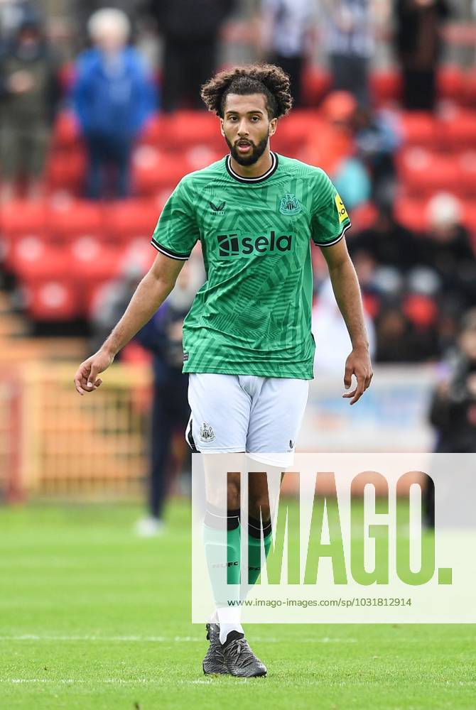 Mandatory Credit: Photo by Richard Lee Shutterstock (14007957al) Remi ...