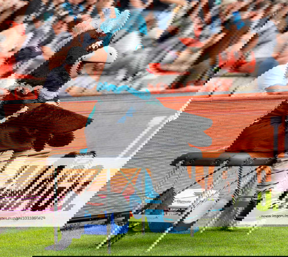 Mascot Dave the Rave Munich Ravens sitting on treatment couch Munich ...