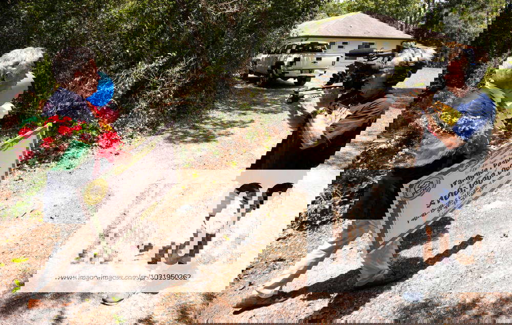 Syndication: Ocala StarBanner Publishers Clearing House Prize Patrol ...