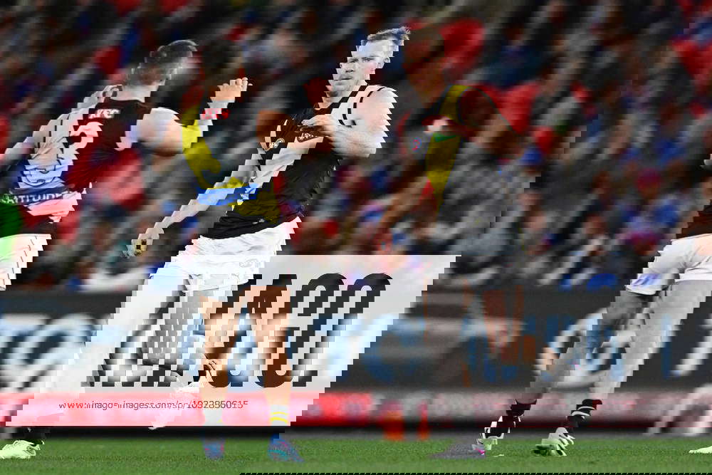 AFL BULLDOGS TIGERS, Jack Riewoldt of Richmond celebrates with team ...