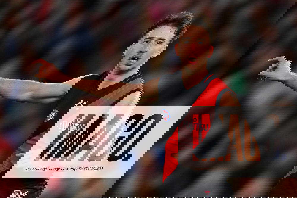 AFL KANGAROOS BOMBERS, Nic Martin of the Bombers celebrates a goal ...