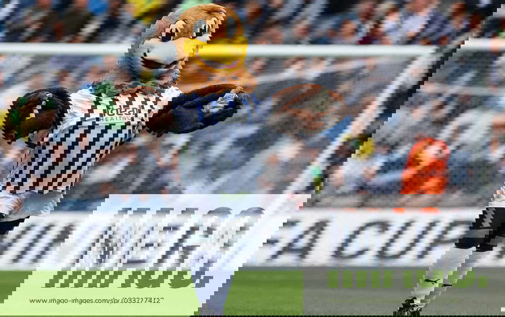 West Bromwich Albion s mascot, Baggie bird encourages the home fans ...