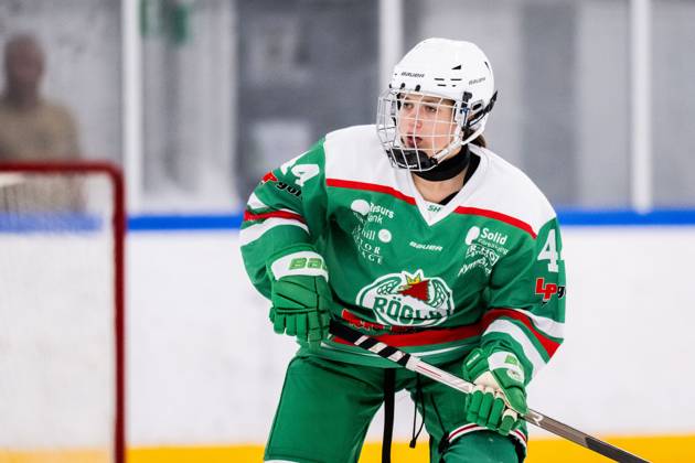 Rögles Arwen Nylander during the training match in ice hockey between ...