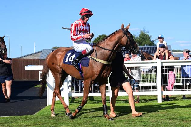 Newton Abbot Races, Newton Abbot, UK - 22 Aug 2023 Etoile Brillante ...