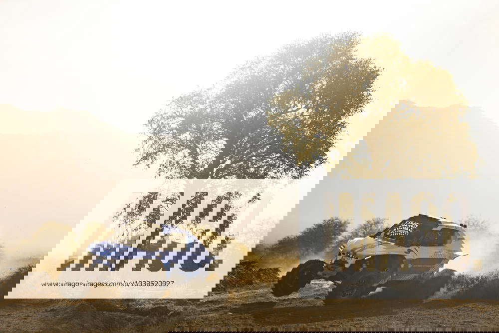 311 RODRIGUEZ Gabriel (arg), DE LA VEGA Santiago (arg), Wevers Taurus ...