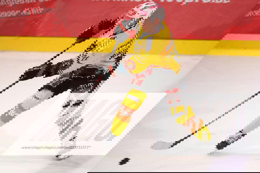 25 08 2023, Cologne, ice hockey, Kölnarena2, test match Cologne Sharks ...