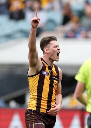AFL HAWKS DOCKERS, Jacob Koschitzke of the Hawks celebrates a goal ...