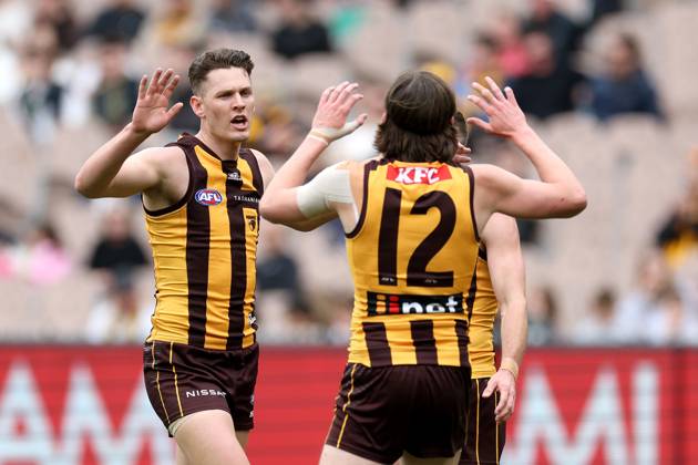 AFL HAWKS DOCKERS, Jacob Koschitzke of the Hawks celebrates a goal ...