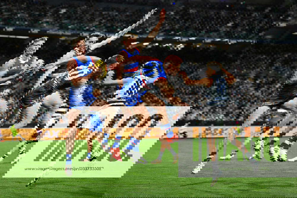 AFL CATS BULLDOGS, Alex Keath of Western Bulldogs marks the footy ...