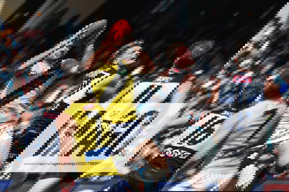 AFL POWER TIGERS, Toby Nankervis of Richmond outworks Sam Hayes of Port ...