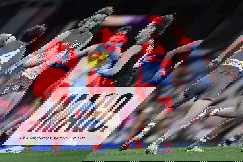 AFL SWANS DEMONS, James Rowbottom of the Swans during the AFL Round 24 ...