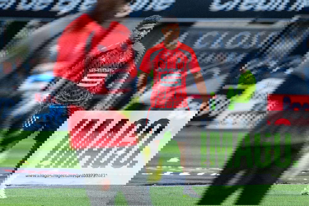 Ludovic Blas (Stade Rennais) FOOTBALL : Stade Rennais - Le Havre AC ...