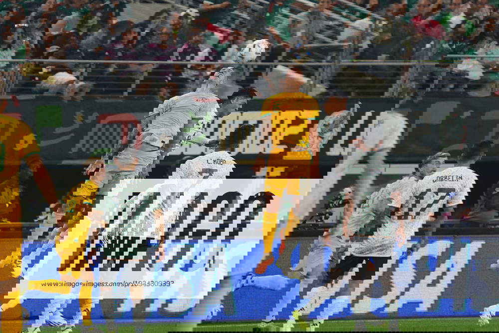 IMAGO - Images & Videos for Media, Sports & Brand.