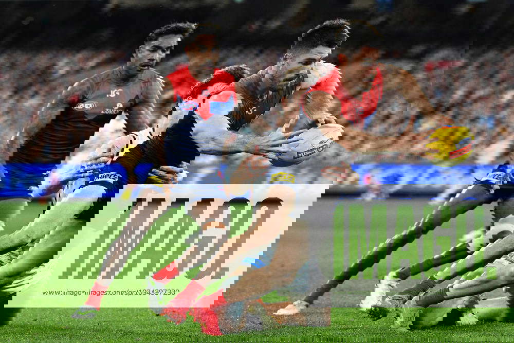 AFL DEMONS BLUES, Alex Neal-Bullen of the Demons (right) in action ...