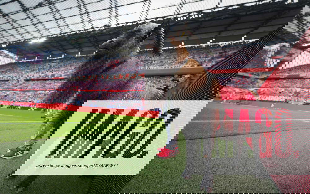 Cologne, Germany 16th Sep 2023 mascot Hennes IX 1 FC Köln TSG 1899 ...