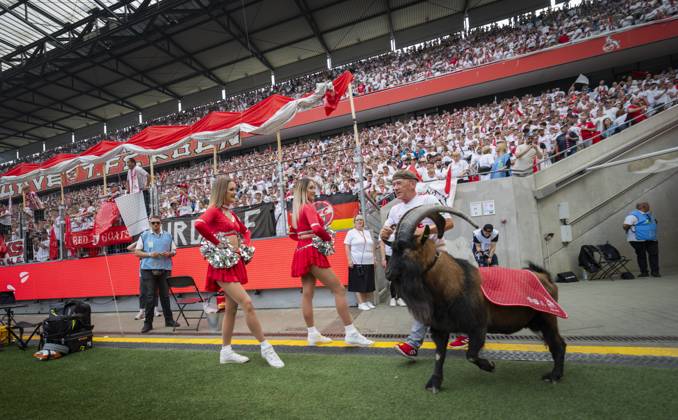 Cologne, Germany 16th Sep 2023 mascot Hennes IX 1 FC Köln TSG 1899 ...