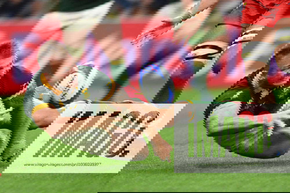 South Africa v Tonga, Rugby World Cup 2023, Pool B, International Rugby ...