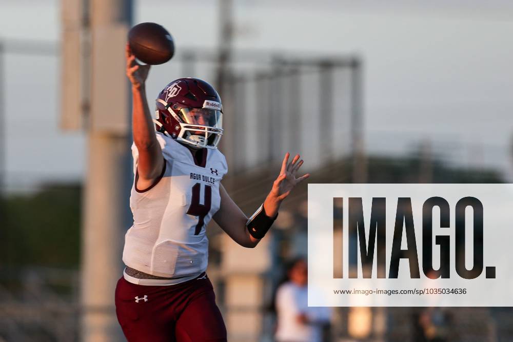 Syndication: The Corpus Christi Caller Times Agua Dulce s Lane Ranly ...