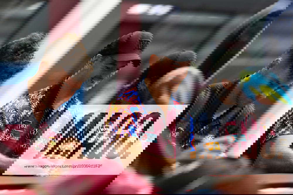 AFL LIONS FAN DAY BRISBANE, Jarryd Lyons of the Lions signs autographs ...