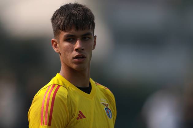 Milan, Italy, 3rd October 2023. Luka Velickovic of SL Benfica during ...