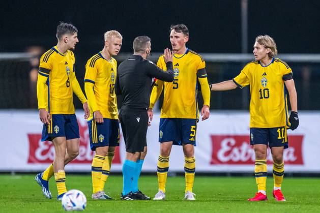 Referee Trustin Farrugia Cann and Noah Persson of Sweden during the ...