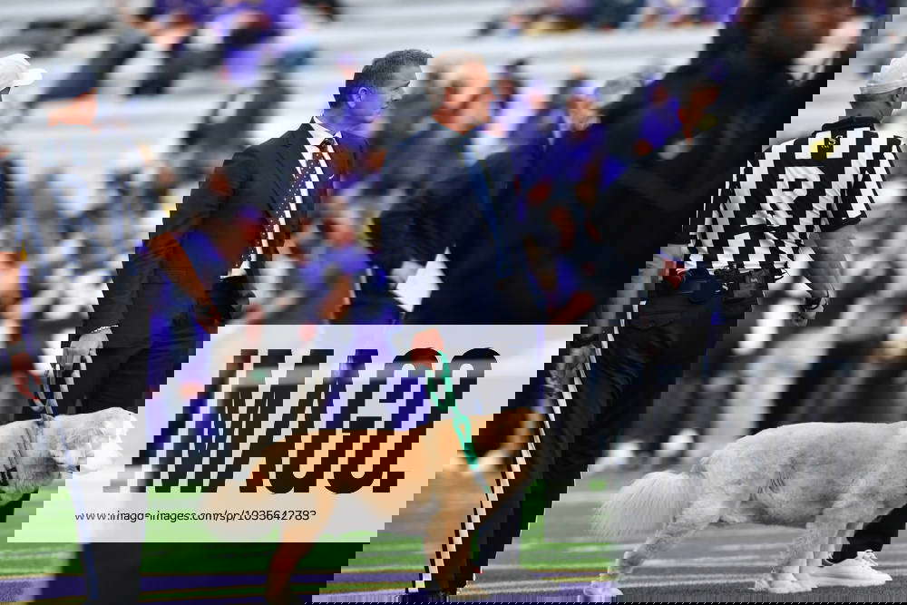 IMAGO - Images & Videos for Media, Sports & Brand.