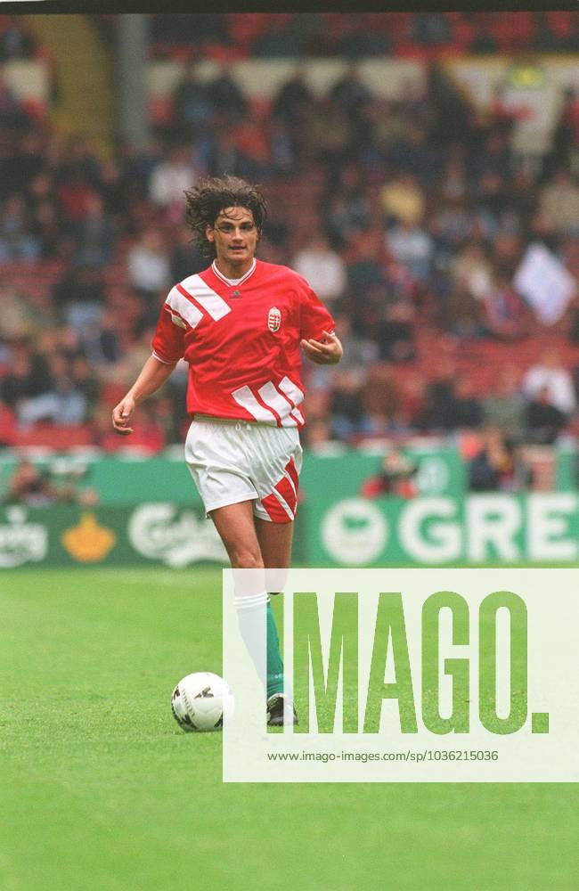 VILMOS SEBOK Hungary International COMPULSORY CREDIT: UPPA Photoshot ...