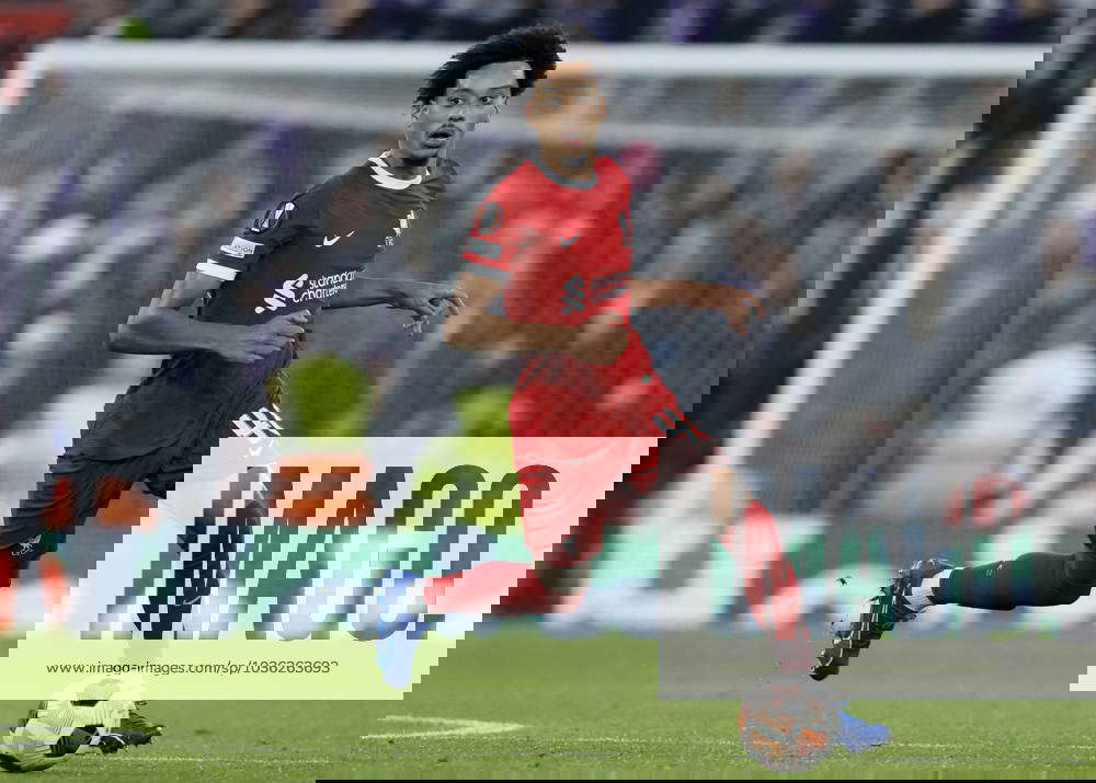 IMAGO - Images & Videos for Media, Sports & Brand.