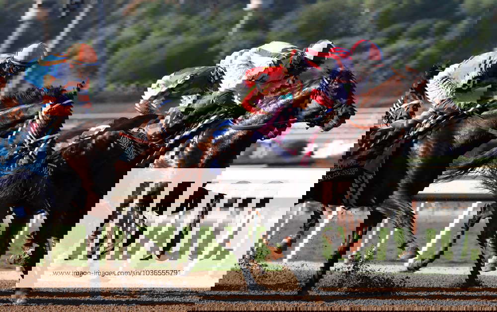 Horse Racing: 2023 Breeders Cup Championship Nov 3, 2023; Santa Anita ...