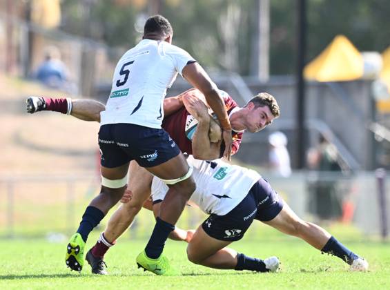 RUGBY REDS WILD KNIGHTS, Lawson Creighton (centre) of the Reds in ...