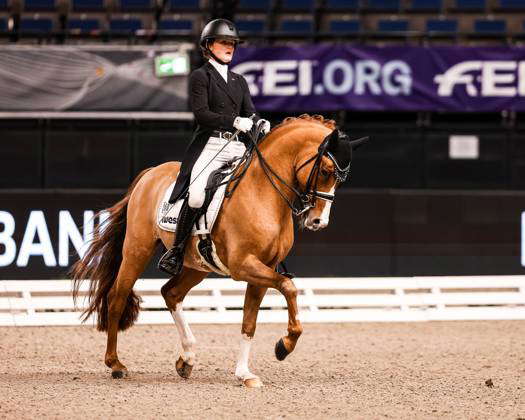 2 place for Ann Cathrin Rieg 21 Dressage Cup of the company iWEST GER ...