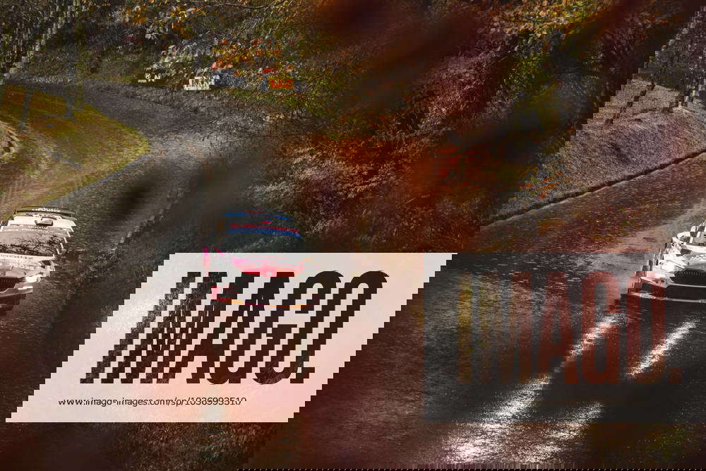 29 Miguel DIAZ ABOITIZ (ESP), Rodrigo SANJUAN (ESP), SKODA Fabia Evo, RC2, Rally2, action during